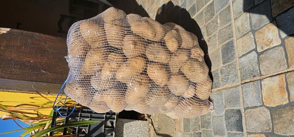 Batata Agria à venda – 7€ o saco de 20kg, Preço: 7,00 €/emb | Loja da ...