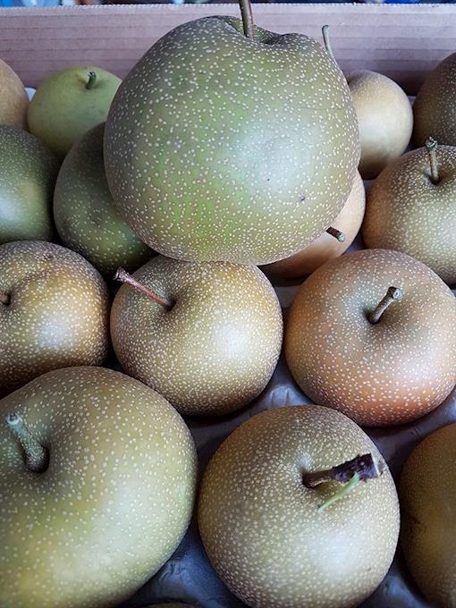 Pêras Nashi Biológicas, a granel, Preço: 1,80 €/kg | Loja da Reforma ...