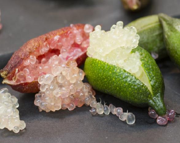 Limão Caviar ZERO PESTICIDAS, Preço: 0,36 €/gr | Loja da Reforma Agrária