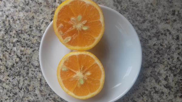 tangera, Preço: 1,50 €/kg | Loja da Reforma Agrária