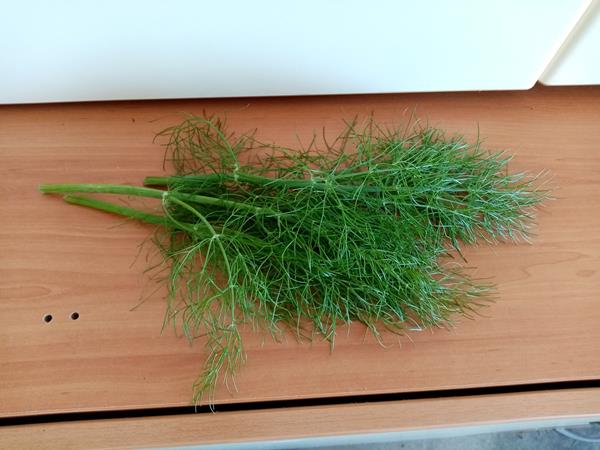 Funcho - 100g, Preço: 1,00 €/emb | Loja da Reforma Agrária