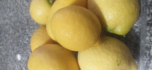 Limão Galego, Preço: 1,00 €/kg | Loja da Reforma Agrária