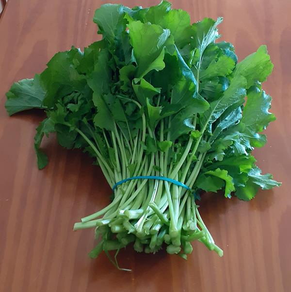 Grelos Nabo, Preço: 2,00 €/un | Loja da Reforma Agrária
