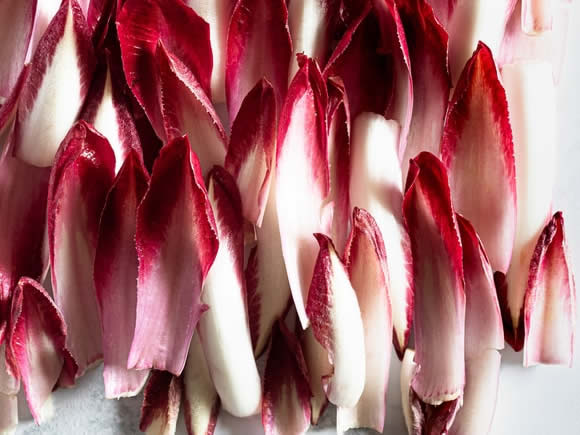 Endívia (Cichorium endivia) , tudo o que precisa de saber | Guia ...