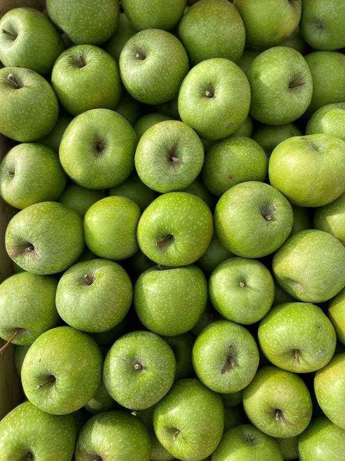 Bioapple: Produtor | Reforma Agrária